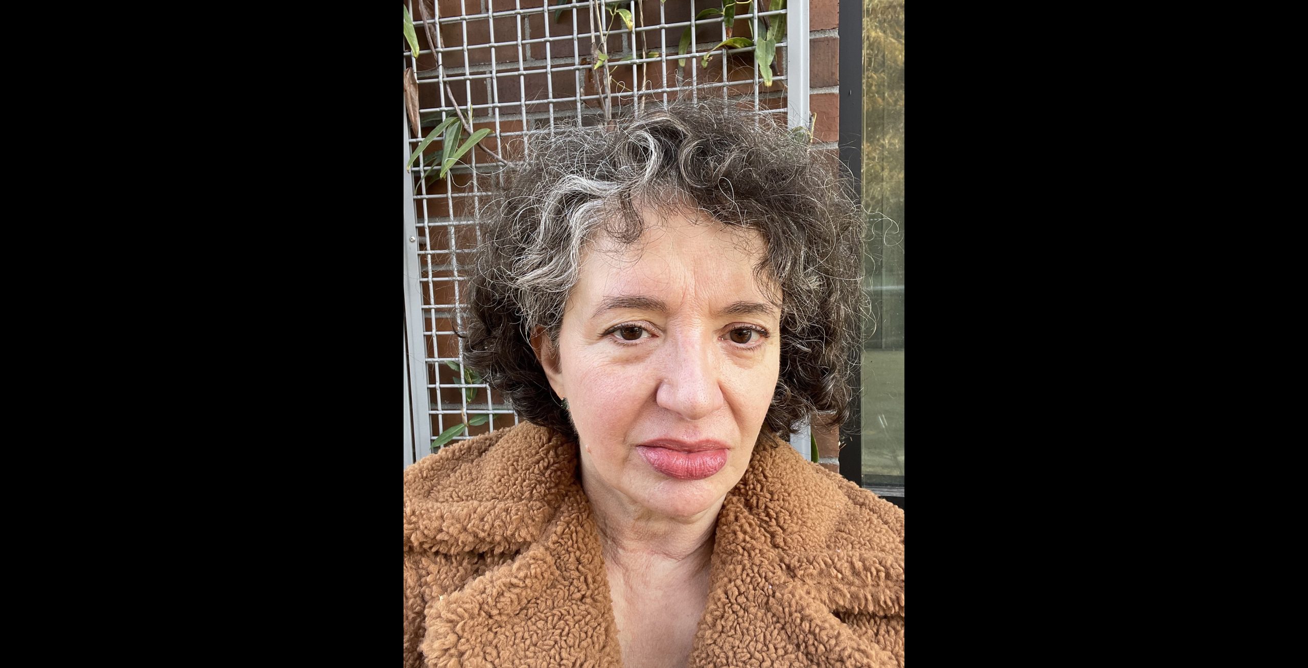 Your Pale Gray Eyes by Litsa Dremousis – The Literary Underground